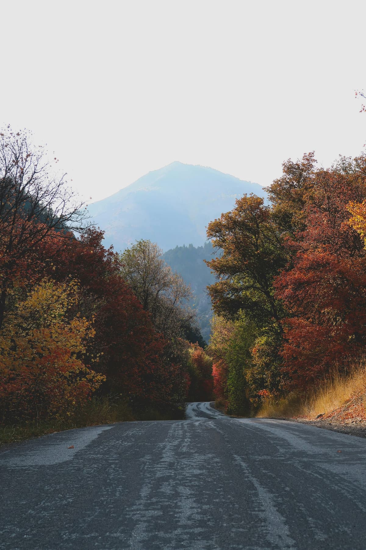 Cache Valley Bank | Community Banking for Utah Small Businesses & Families